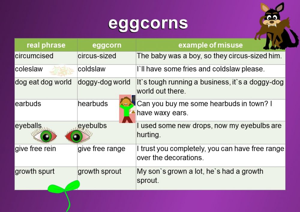 Eggcorns - the BEST eggcorn examples - Mingle-ish