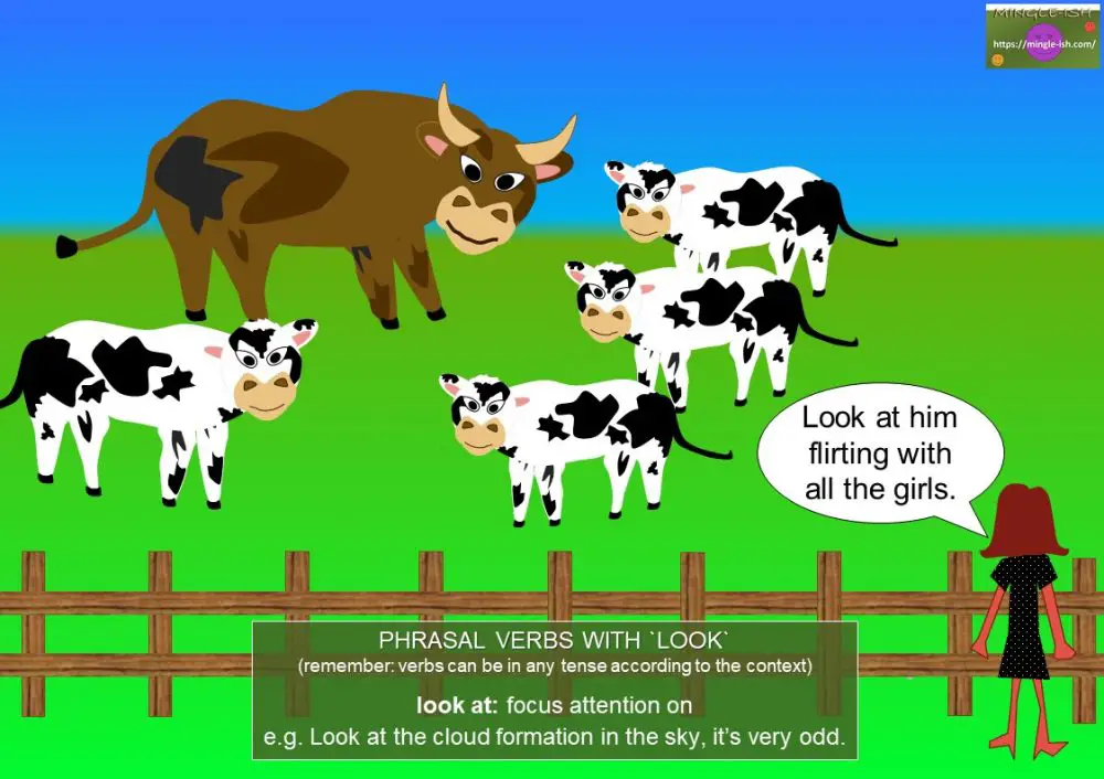 Phrasal verbs with look - Mingle-ish