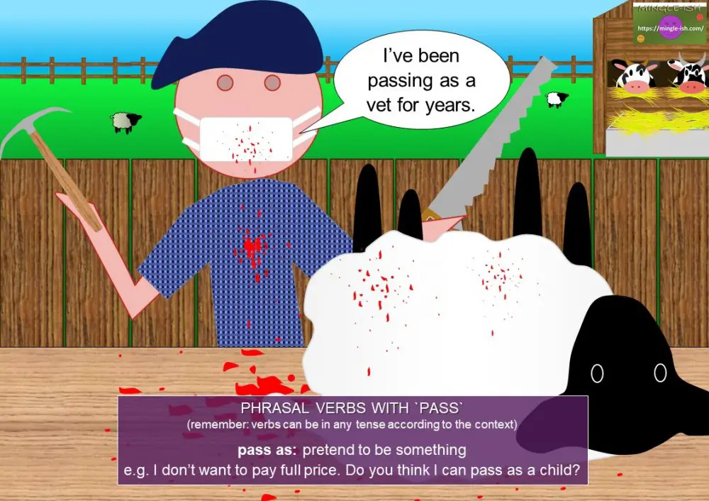 Phrasal verbs with pass - Mingle-ish