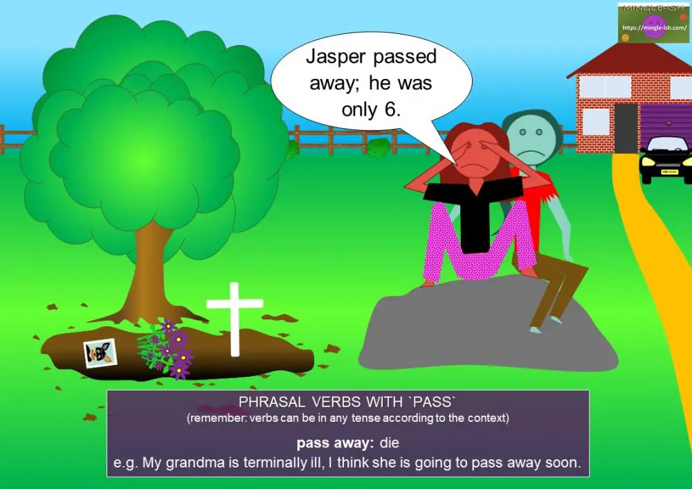 Phrasal verbs with pass - Mingle-ish