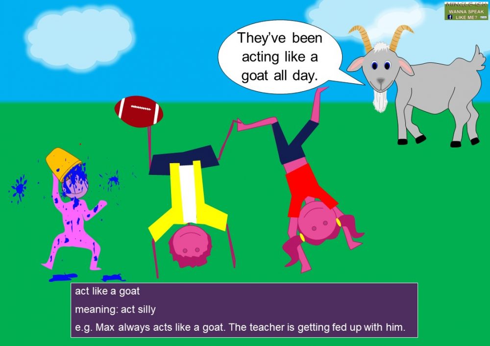 Goat idioms and sayings - Mingle-ish