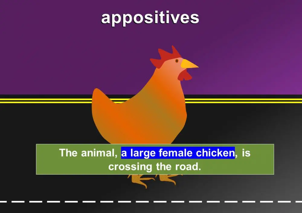 Appositive meaning and examples - Mingle-ish