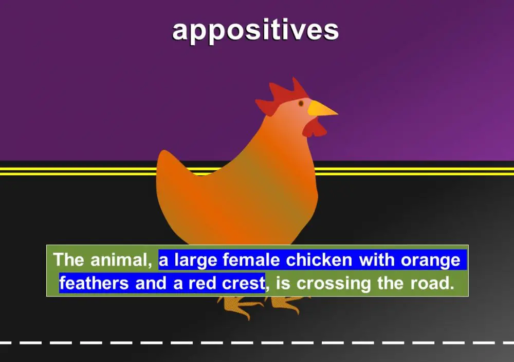 Appositive meaning and examples - Mingle-ish