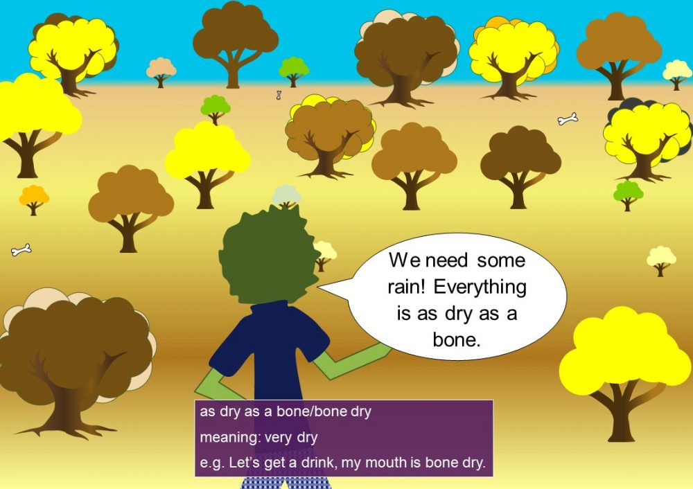 BONES idioms (body idioms) - Mingle-ish