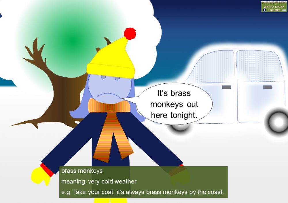 Monkey idioms and expressions - Mingle-ish
