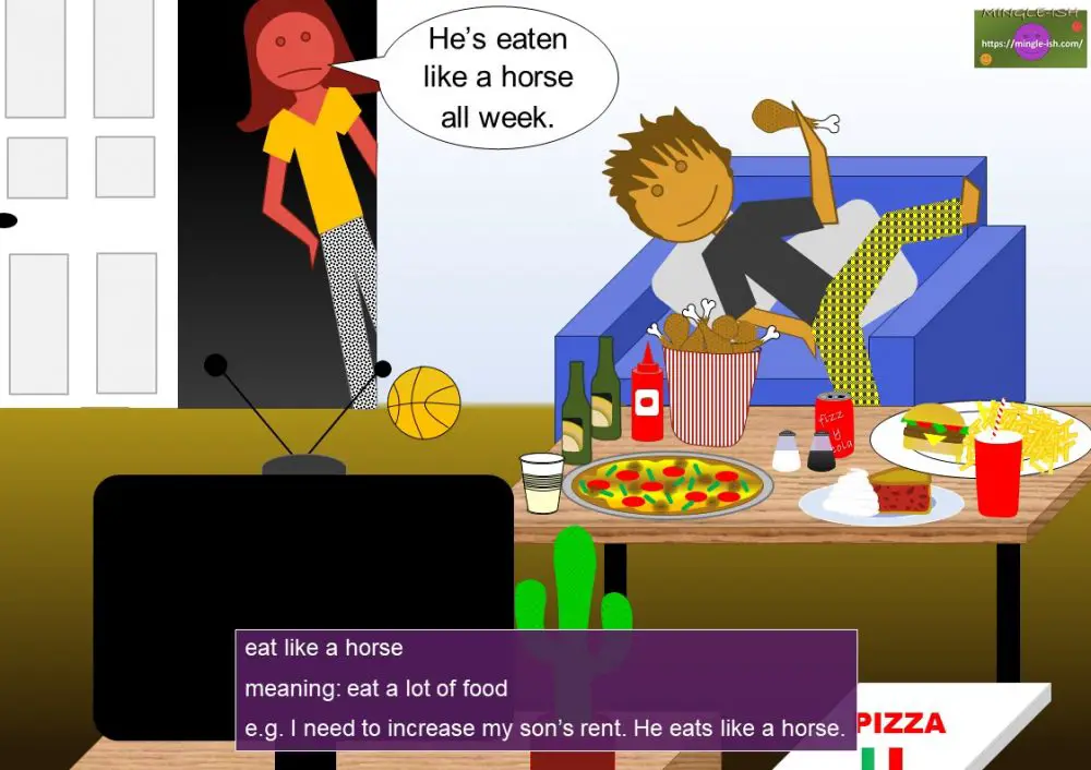 Horse Idioms: A Comprehensive Guide - Mingle-ish