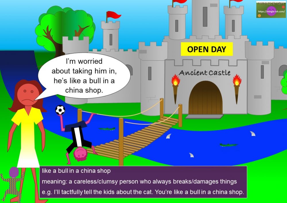 Bull idioms and sayings - Mingle-ish