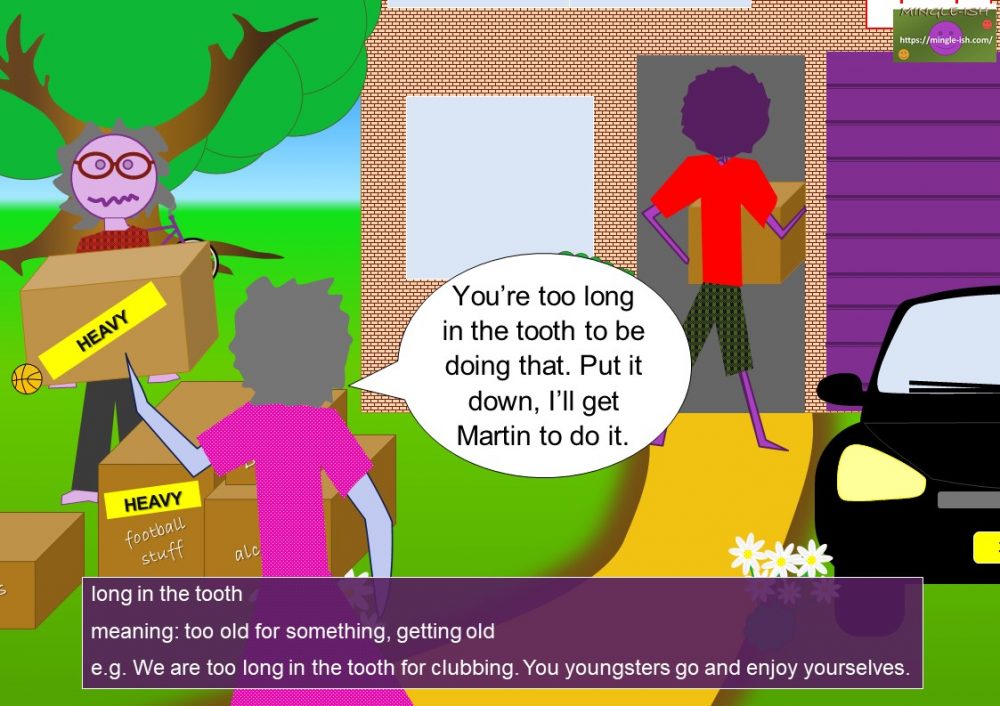 TOOTH AND TEETH idioms (body idioms) - Mingle-ish
