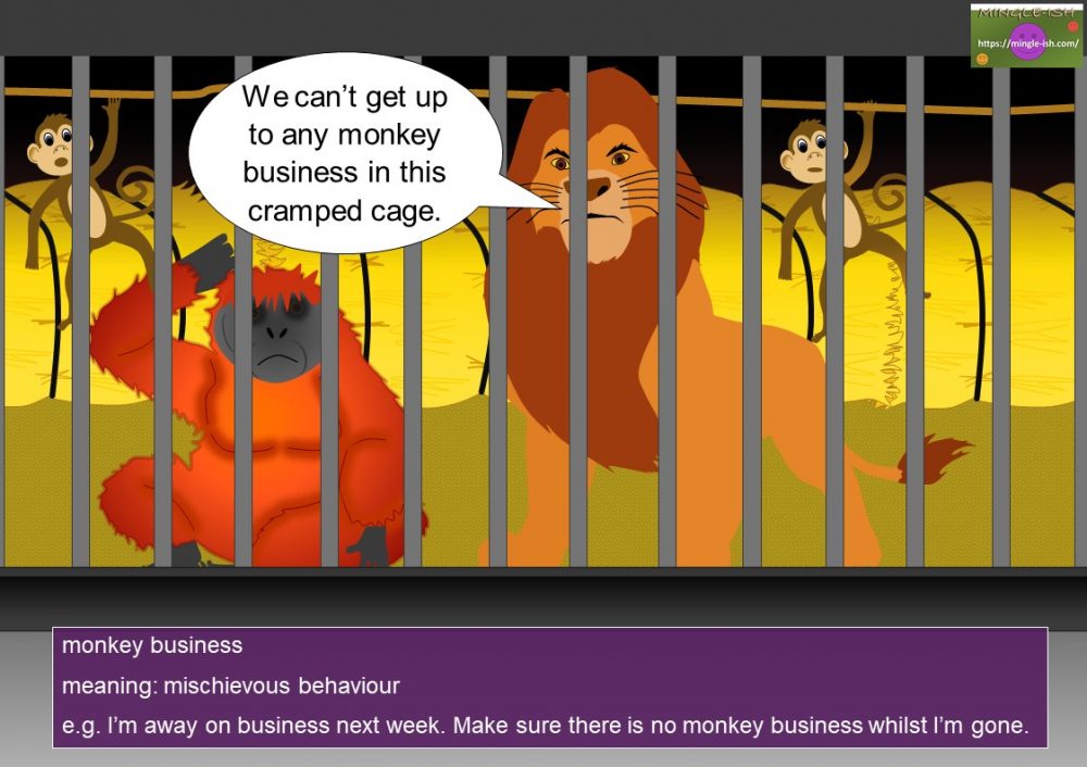 Monkey idioms and expressions - Mingle-ish