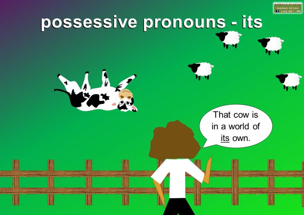 Possessive pronoun definition and examples - Mingle-ish