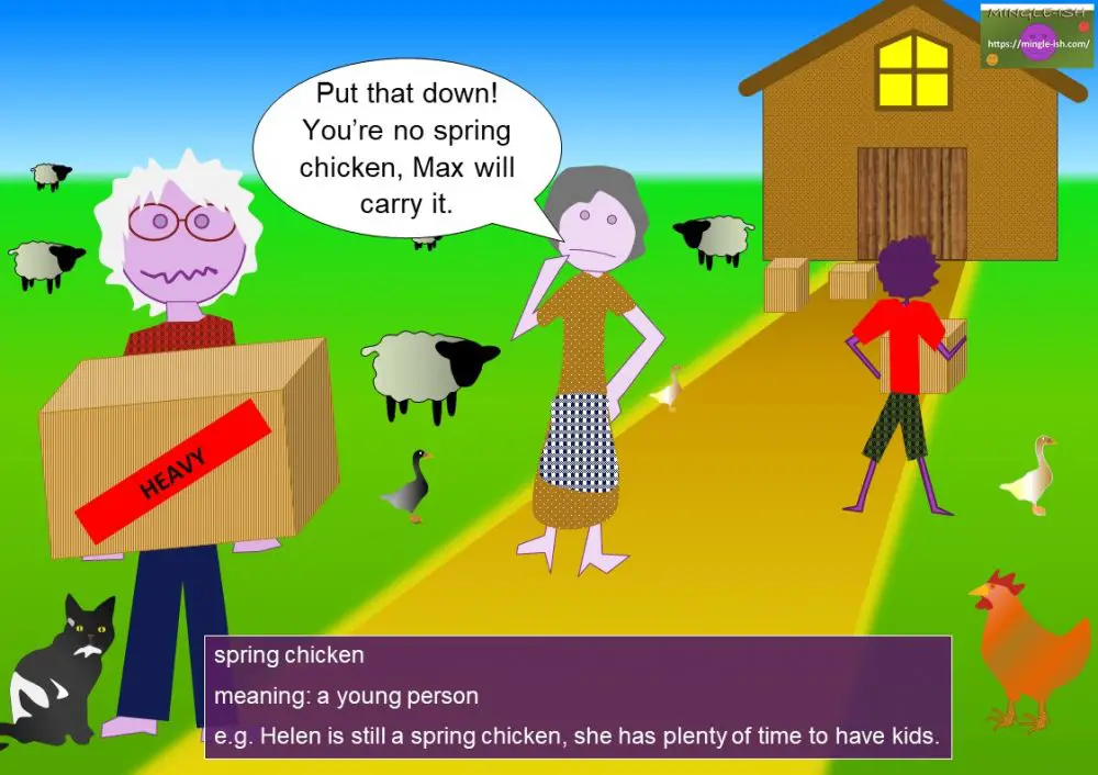 Bird idioms - Mingle-ish