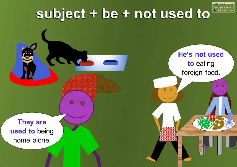 'Be used to' Grammar - meaning and examples - Mingle-ish