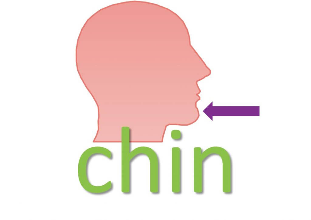 CHIN idioms (body idioms) - Mingle-ish