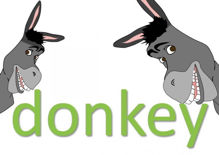 Donkey Idioms: Meanings and Examples - Mingle-ish