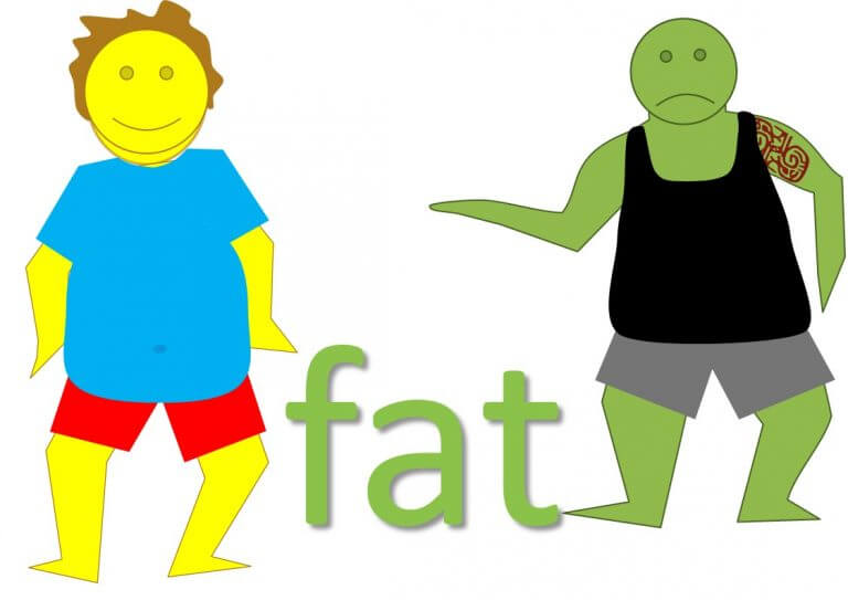 Idioms and phrases with adjectives - Fat - Mingle-ish