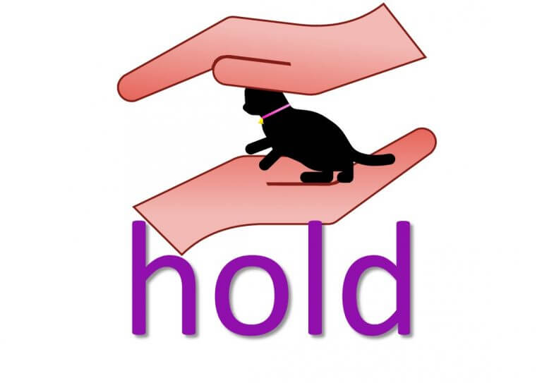Phrasal verbs with hold - Mingle-ish