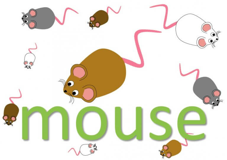 Mouse idioms and expressions - Mingle-ish
