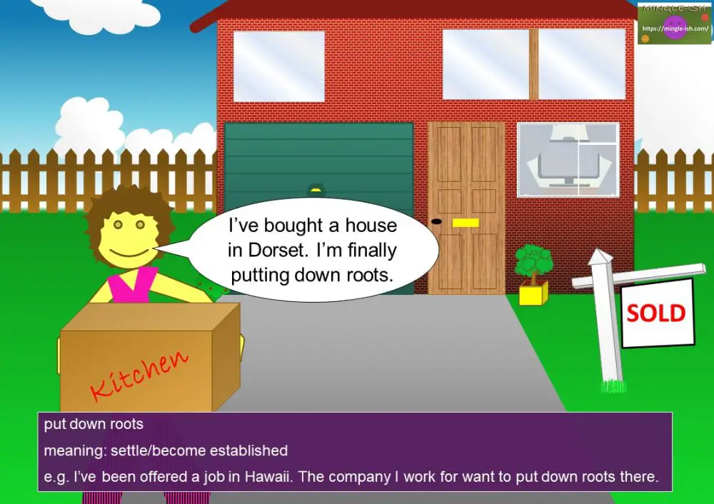 Popular 'Put' Idioms and Their Meanings - Mingle-ish