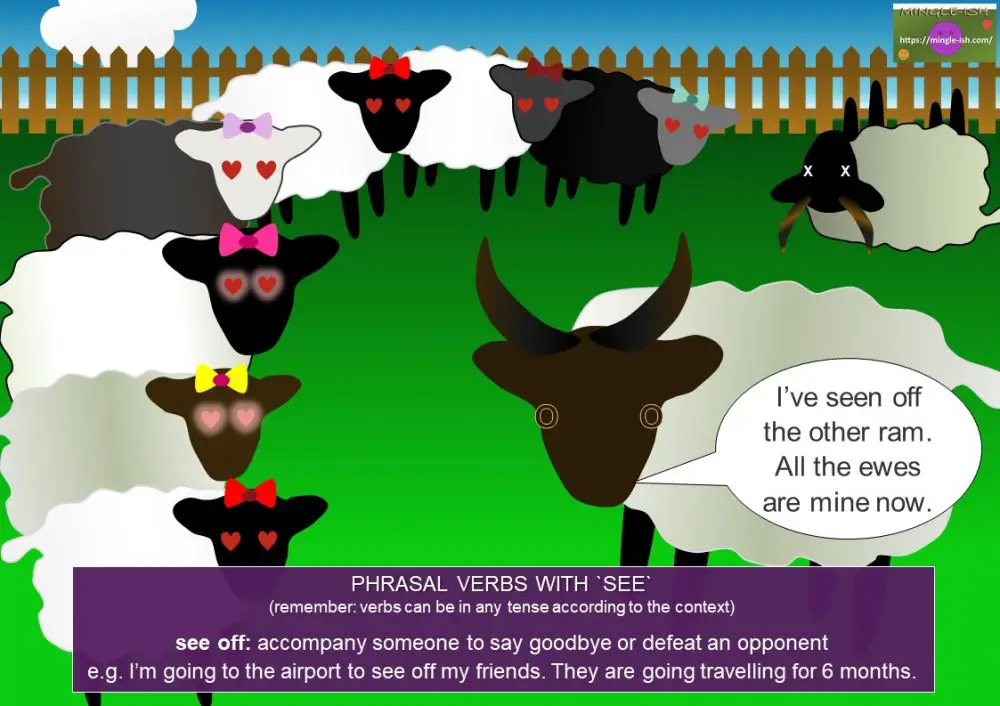 Phrasal verbs with see - 5 PICTURE examples - Mingle-ish