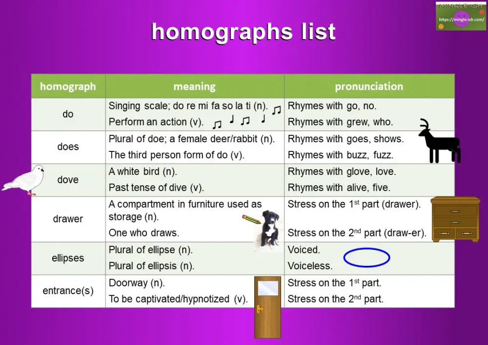 Homographs - meaning and examples - Mingle-ish