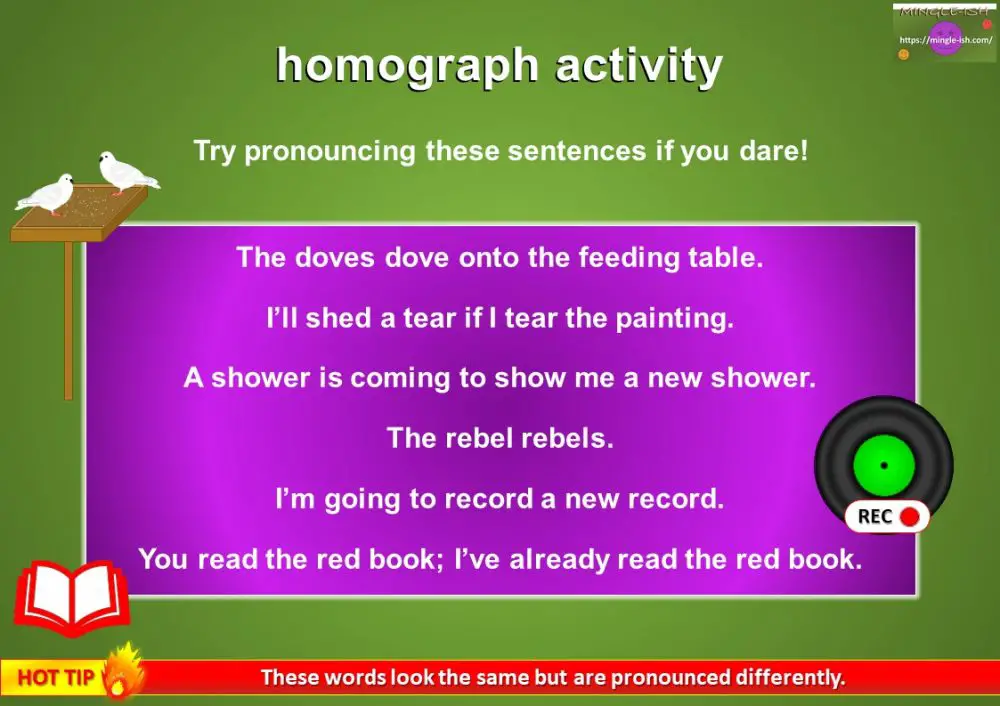 Homographs - meaning and examples - Mingle-ish