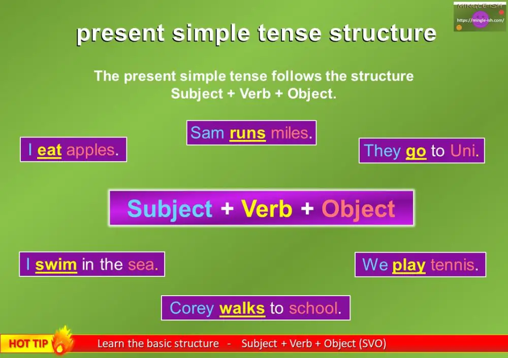 Present simple tense - Mingle-ish