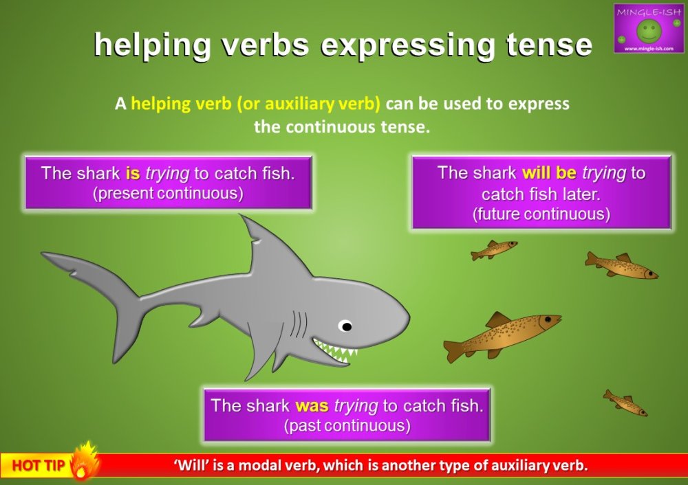 Helping verbs (auxiliary verbs) - Mingle-ish