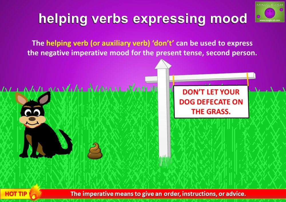 Helping verbs (auxiliary verbs) - Mingle-ish