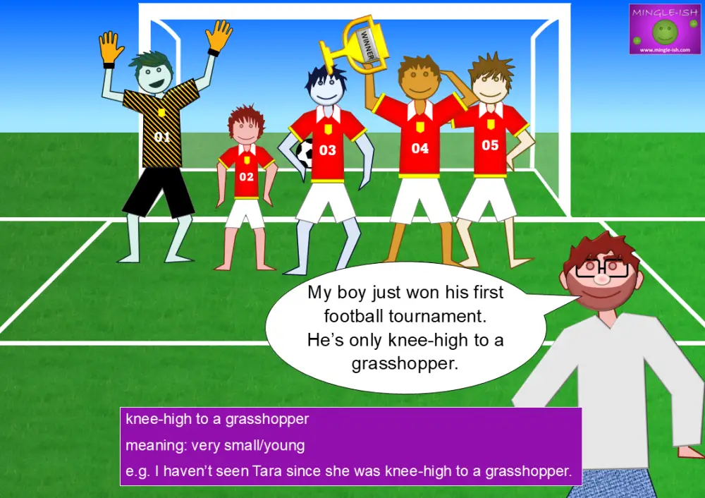 Bug and Insect Idioms: Common Expressions and Their Meanings - Mingle-ish